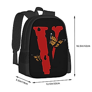 Big V Lightweight Casual Laptop Backpack For For Men And Women School Bookbag For College