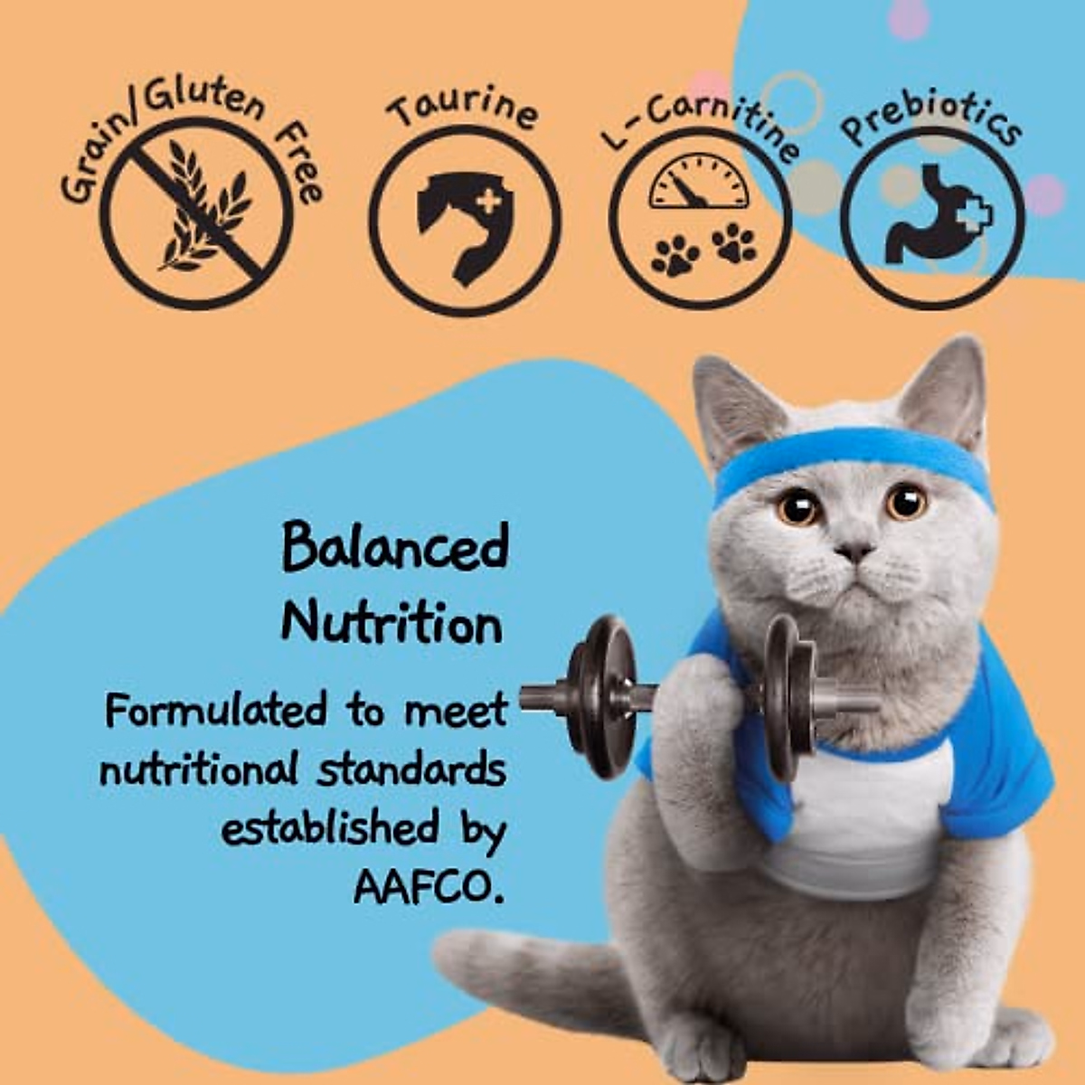 MOOCHIE Wet Cat Food - Weight Management - Grain Free Wet Cat Food - Minced Salmon & Prebiotics - No Added Preservatives or Artifical Flavoring - Adult Cat Food - 12 x 2.5oz Pouch