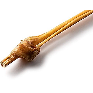 Jack&Pup for Dogs Bladder Bully Sticks for Small Dogs - 6 Inch Baby Bully Stick Dog Chew, Premium Grade All Natural Gourmet Puppy Treat Chews - for Teething Puppies (10 Pack)