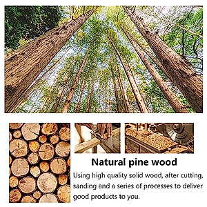 Lexza Bookshelf for Kids,2 Tier 360° Rotating Stackable Shelves Bookshelf Organizer, Standing Bookcase Storage Rack, Bookshelves for preschoolers' classrooms,Daycare,bedrooms,Nursery,playrooms.