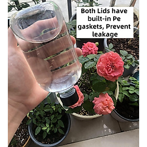 KIGITIK Plastic Spray Bottles, 16.9oz/500ml, Refillable Empty Spray Bottles, for Cleaning Solutions, Plants, Pet, Essential Oils, Kitchen, Hair (Clear)