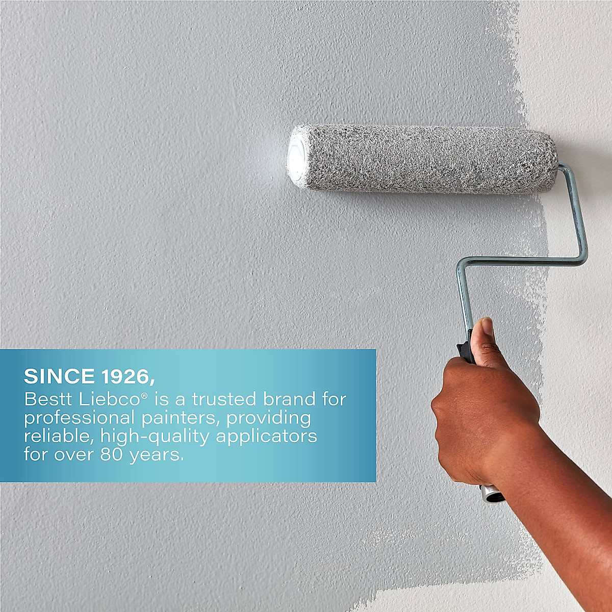 Bestt Liebco White Foam Mini Rollers 4" x 3/8" White Foam 6-PK