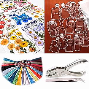 Dried Flower Bookmark Kit, Gicibady Dried Flower Bookmark, Gicibady Flower Bookmark, Flower Bookmark Kit, Flower Press Bookmark, Transparent Flower Bookmark Maker for Craft (20 Large Full Set)