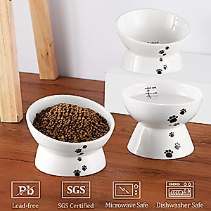 Yedio Porcelain Raised Cat Bowl, Tilted Cat Food Bowl with Anti Slip Band, Stress Free, Elevated Porcelain Pet Bowl Protect Pet's Spine, Backflow Prevention, Dishwasher Safe, White