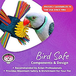 Super Bird Creations SB963 Twirl N' Whirl Bird Toy, Medium Bird Size, 6.5" x 4"