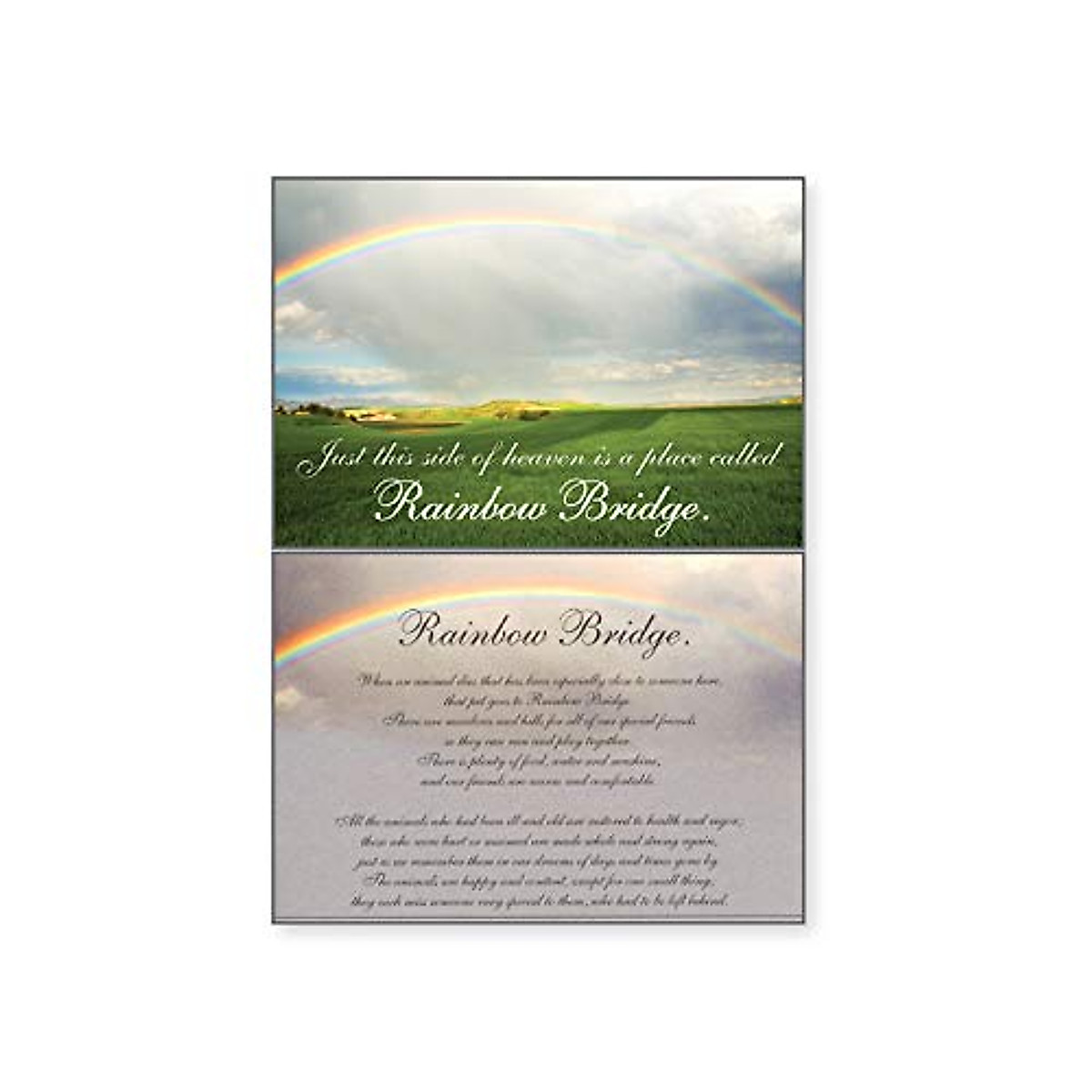 Dog Speak Rainbow Bridge Sympathy Card