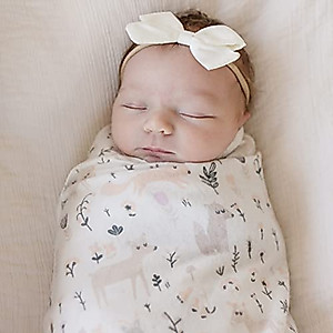 Trend Lab 4 Pack Flannel Receiving Blankets, (103779), Mystical Forest , 30x30 Inch (Pack of 4)