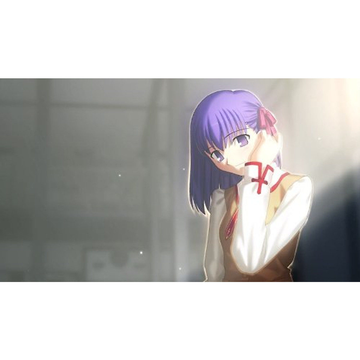 Fate / Stay Night [Realta Nua] Playstation Vita the Best Limited Benefits "Another Special Jacket" With