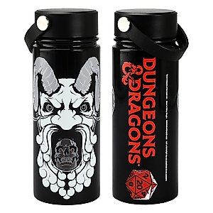 Dungeons and Dragons Stainless Steel 17 Oz Water Bottle