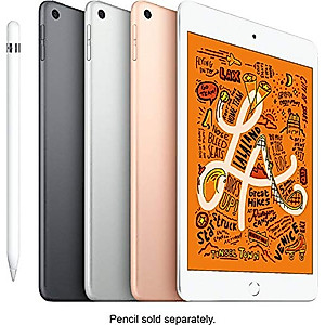 Apple iPad Mini 5-256GB - WiFi - Gold (Renewed Premium)