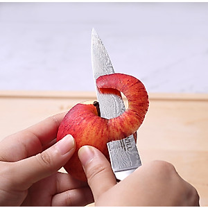 PICKWILL 5 Inch Kitchen Utility Knife with Sheath, Multi-purpose Small Chef Knife with Ergonomic Pakkawood Handle, 5Cr15MoV stainless steel Knives for Cutting Meat, Fruit & Vegetable