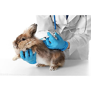 25Pack 3ml Syringe Disposable Safety Individual Packaged