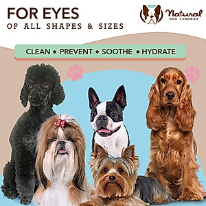 Natural Dog Eye Wipes for Dogs -50 Cnt- Soothing Dog Eye Wipes with Natural, Non-Irritating Ingredients Green Tea & Goldenseal, Effective Dog Tear Stain Remover Wipe & Dog Eye Gunk Remover Wipe, Vegan