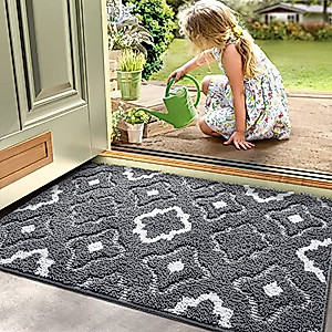 DEXI Door Mats Indoor, Durable Absorbent Non Slip Front Door Rugs for Inside House, Low Profile Easy Clean Entrance Mat, 36"x24", Grey