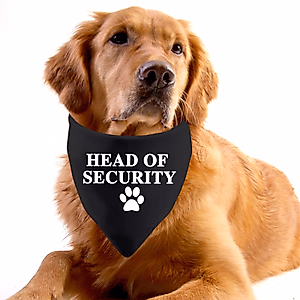 1 Piece Head of Security Dog Bandana Pregnancy Announcement Dog Parent Gift Baby Security Dog Bandana (Head of Security Black)