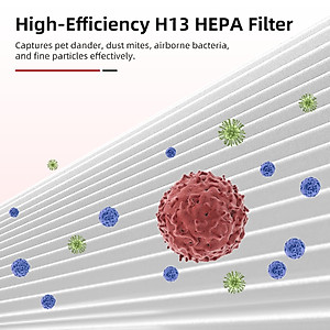 211+ Replacement High-Efficiency Filter Compatible with Blueair Blue Pure 211+ Air Purifiers (Non-Auto), Activated Carbon, Remove Dust, Pet Dander, Pollen, Lint, Smoke, VOCs, 2 Packs