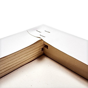 Man with arms (Alexander the Great) 20" x 30" Gallery Wrapped Canvas Wall Art