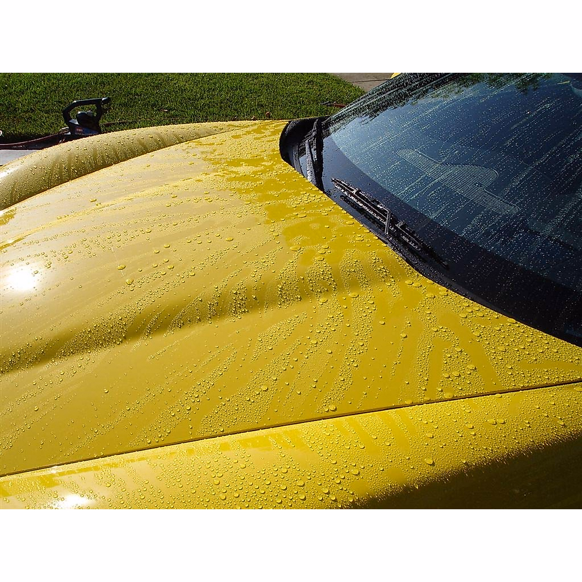 RejeX Corrosion Technologies 61001 (12 fl oz) – High Gloss Finish That Protects | for All Vehicles | Synthetic Paint and Surface Sealant | Lasts 2X Longer Than Any Wax | Nothing Sticks But The Shine!