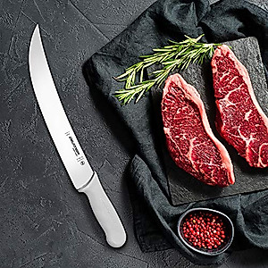 Dexter-Russell 12" Cimeter Style Steak Cutter, S132-12PCP, SANI-SAFE series, Multicolor