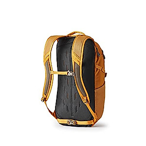 Gregory Mountain Products Nano 20 Daypack, Burnt Amber, One Size