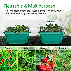 VIVOSUN Durable Waterproof Seedling Heat Mat Warm Hydroponic Heating Pad 10" x 20.75", with 6-Pack Seed Starter Trays