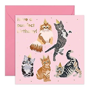 Central 23 — Cute Birthday Card for Her - Cats 'Purrfect Birthday' - For Mom Wife Sister - Comes With Fun Stickers