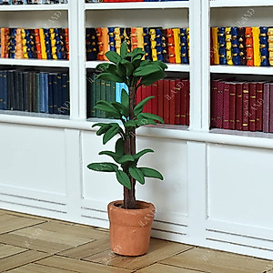 iLAND Miniature Dollhouse Accessories for Dollhouse Furniture, Mini Book Globe Chess Set for Dollhouse Study Room (Classic 22pcs)