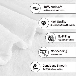 The Office Blanket Micro Flannel Blanket Super Soft Plush Fuzzy Throw Blanket for Bed/Livingroom/Travel/Outdoor/Office 40x50 Inch