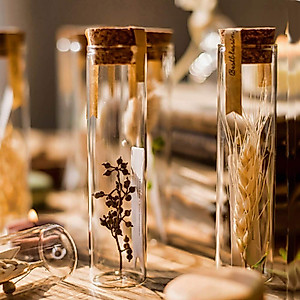 KINDPMA 20Pcs 18ml Clear Plastic Test Tubes 18x105mm with Cork Stoppers Tube Holder Candy Test Tubes for DIY Flowers Crafts Candy Bath Salts Storage Halloween Christmas Science Lab Wedding Party Favor