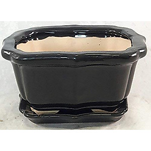 Bonsai Tree Pot black 6 Inch Bonsai Pots with Trays- unique from Jmbamboo