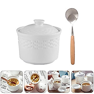 Operitacx Ceramic Stew Pot with Lid and Spoon Japanese Small Steam Soup Bowl Steaming Cup Serving Dish Seasoning Jar for Cereal Rice Chili Beef Stew Medicinal Birds Nest Egg Custard Appetizer