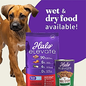 Halo Elevate Wet Dog Food, Grain Free, Smoky BBQ Shredded Chicken Stew w/Sweet Potatoes & Green Beans, 12.7oz (Pack of 6)