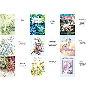 Variety Boxed Greeting Card Assortment by Fravessi | 36 Card Pack + 36 White Envelopes (4x6) | Humorous