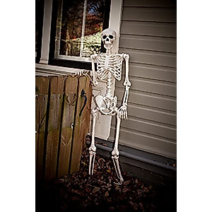 Crazy Bonez Pose-N-Stay Skeleton