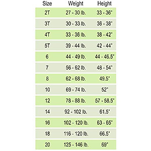 Pinkfong Baby Shark Little Boys Fleece Pullover Hoodie Grey 6