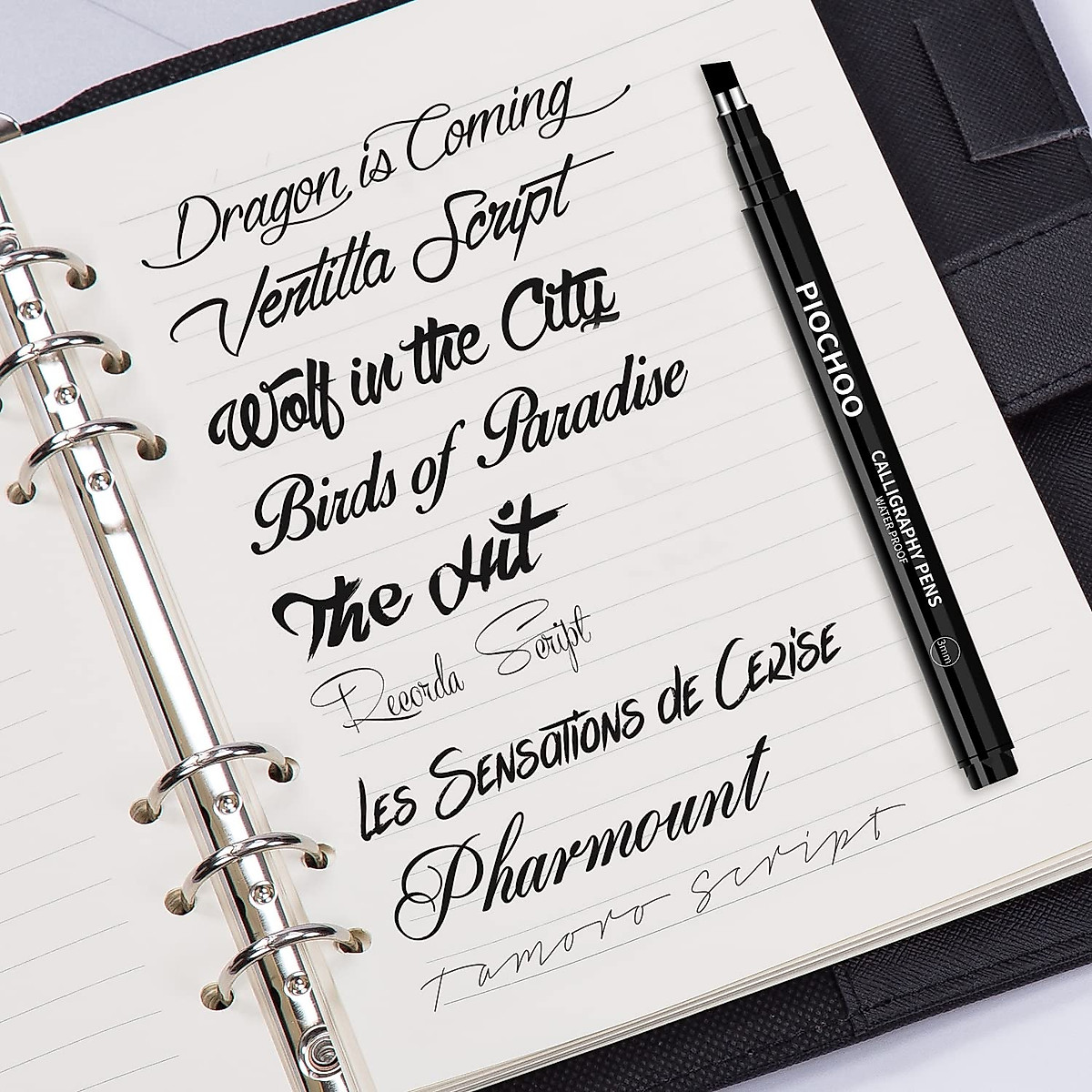 Piochoo Calligraphy Pens,8 Size Calligraphy Pens for Writing,Brush Pens Calligraphy Set for Beginners, Hand Lettering Pens