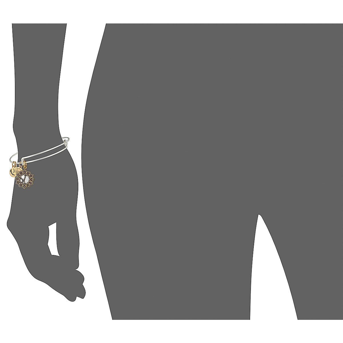 Alex and Ani Women's Pisces Two Tone Bangle Bracelet