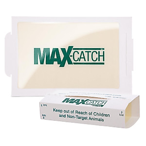 Catchmaster Max-Catch Mouse & Insect Glue Trap 72PK, Mouse Traps Indoor for Home, Sticky Pest Control Adhesive Tray for Catching Bugs, Rats & Rodents, Non Toxic Bulk Unscented Glue Boards