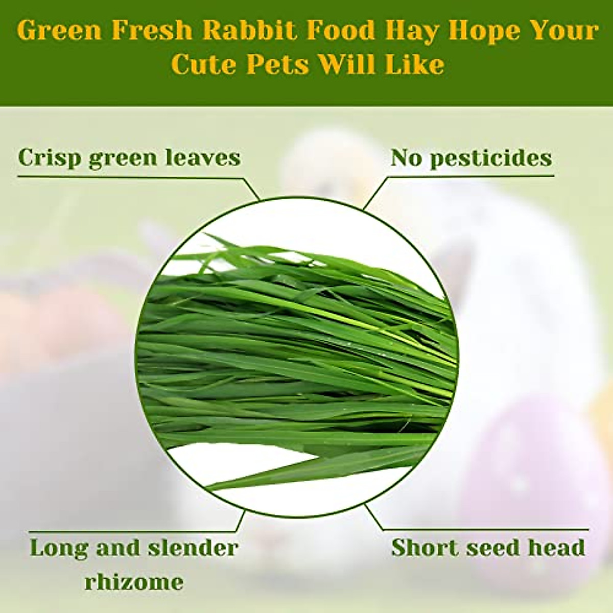 Hamiledyi Natural Timothy Hay Rabbit Hay Feed Guinea Pig Premium Grass Hay Small Animal Pets Hay Food for Bunny Chinchillas Chipmunkas (2.2Ib