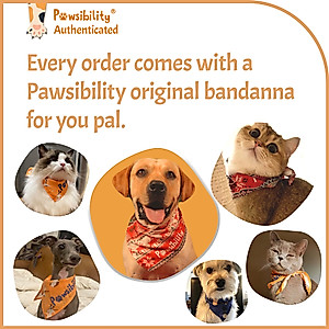 Pawsibility - Reinvented Pet Nail Clippers for Your Pal - USB Rechargeable LED Light for Bloodline | Razor Sharp and Durable Blade | Vets Recommended Trimming Tool for Dogs and Cats - Pink