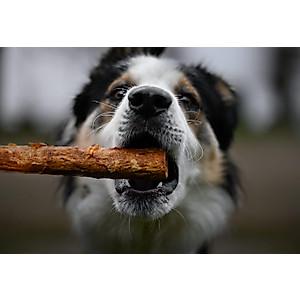 Fieldcrest Farms Nothing to Hide Natural Rawhide Alternative Large 10'' Rolls for Dogs - 3 Pack (6 Chews) Premium Grade Easily Digestible Chews - Great for Dental Health (Beef)