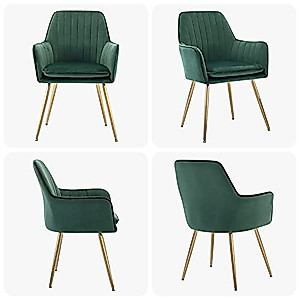 ceedment Modern Living Dining Room Accent Arm Chairs Club Guest with Gold Metal Legs (2, Green)
