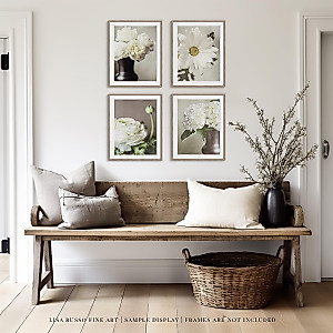 Lisa Russo Fine Art - Nature Wall Art - Botanical Flower Wall Decor Pictures - Shabby Chic Style - Set of 4 - Not Framed - Ivory, Tan, Beige (4 SMALL 5x7 Prints Only)