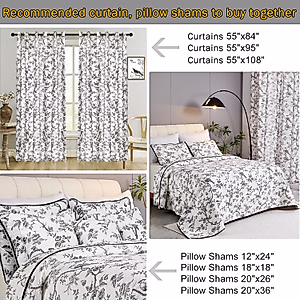 EVENHUG 100% Cotton Quilt Queen Size Black Bird Bedding Set Double Printing Lightweight Quilt Reversible Coverlet Bedspread with Pillow Shams All Seasons 3 Pieces (92"x96")