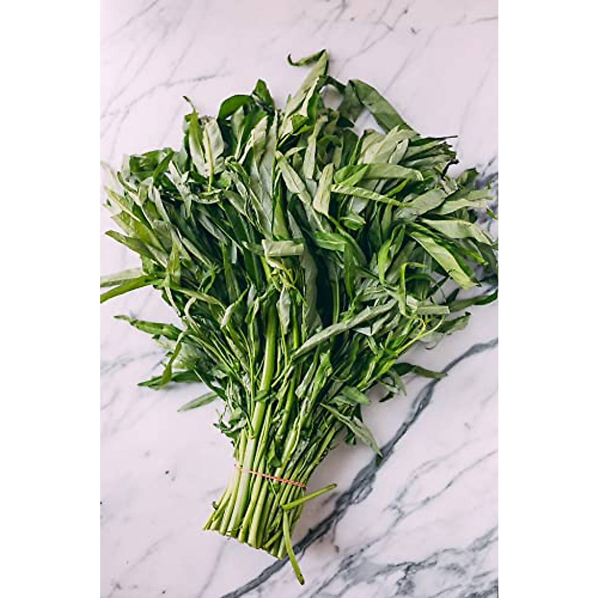 Gaea's Blessing Seeds - Ong Choy Seeds - Kong Xin CAI Kangkong - Non-GMO Seeds with Easy to Follow Planting Instructions 94% Germ Rate (Pack of 1)