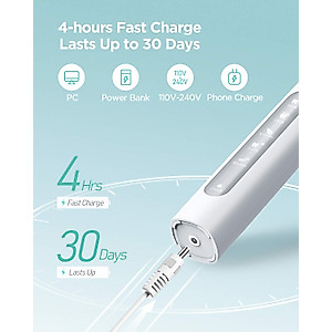 Gloridea Electric Toothbrushes for Adults, Rechargeable Sonic Toothbrushes with 4 Dupont Brush Heads 5 Modes 40,000 VPM Smart Timer Waterproof, 4 Hours Charging Lasts 30 Days, Travel, White