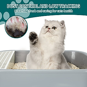Meowgic Paws Plant-Based Cat Litter, Odor Control Quick Clumping Tofu Cat Litter, 6 lbs, Low Tracking Dust Control Lightweight Flushable Unscented Natural Kitty Litter