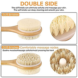 Shower Brush for Body, Coolbird Back Scrubber for Shower Brush with Soft and Stiff Bristles, Bath Dual-Sided Long Handle, Solid Wood Frame & Boar Hair Exfoliating Brush for Wet Brush Dry Brush