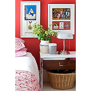 Globe Electric 12711 LED 11 Inch Lamp with Pull Chain