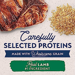 Natural Balance Limited Ingredient Adult Wet Canned Dog Food with Healthy Grains, Lamb & Brown Rice Recipe, 13 Ounce (Pack of 12)